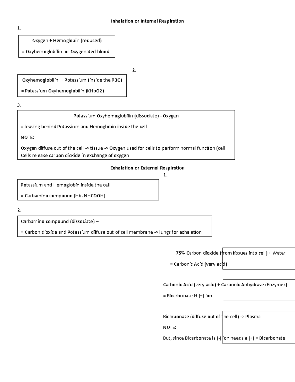 Exchange of gases: Chloride Shift or Hamburger Phenomenon - Inhalation ...