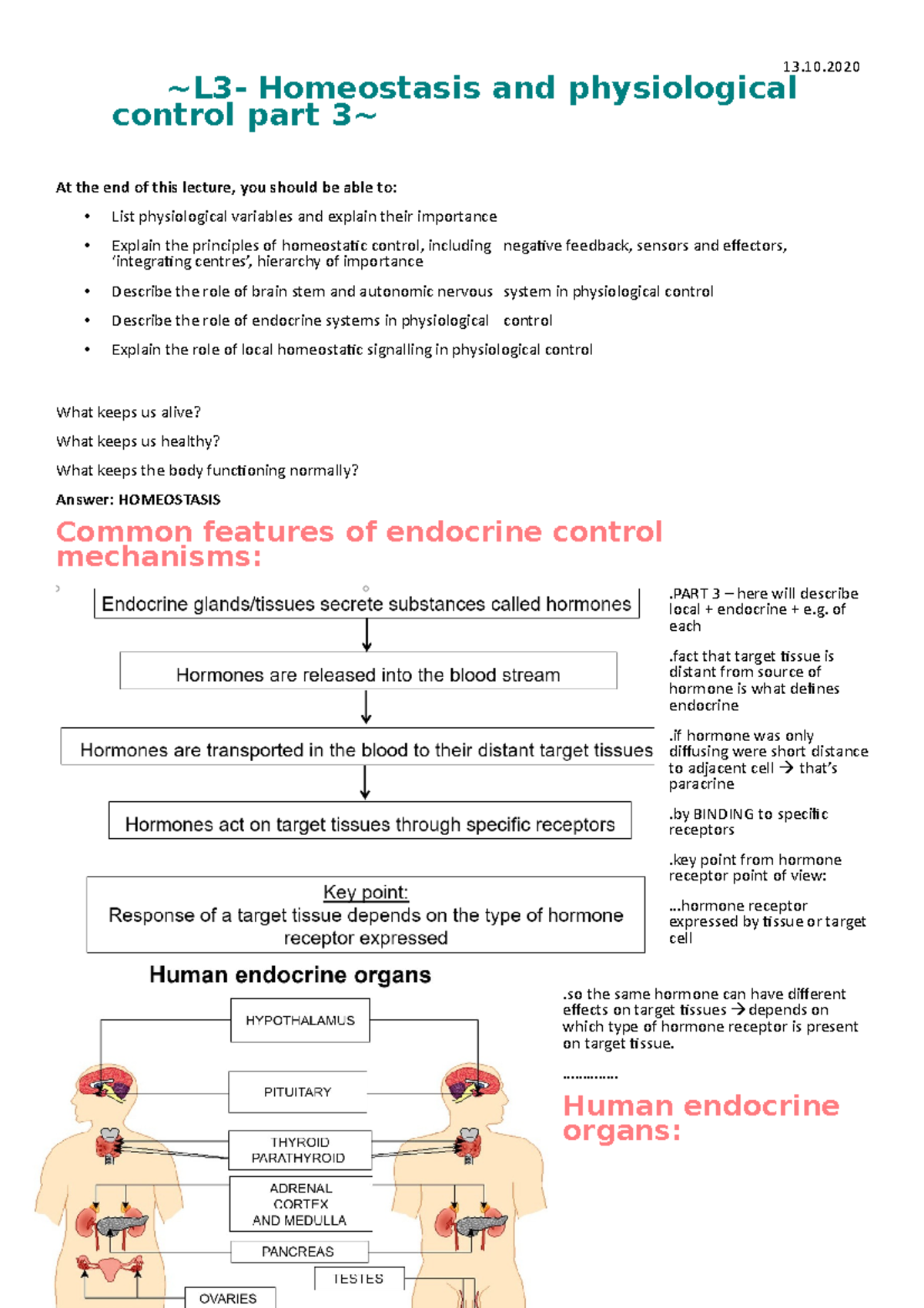L3 PART 3 Homeostasis and physiological control - ~L3- Homeostasis and ...
