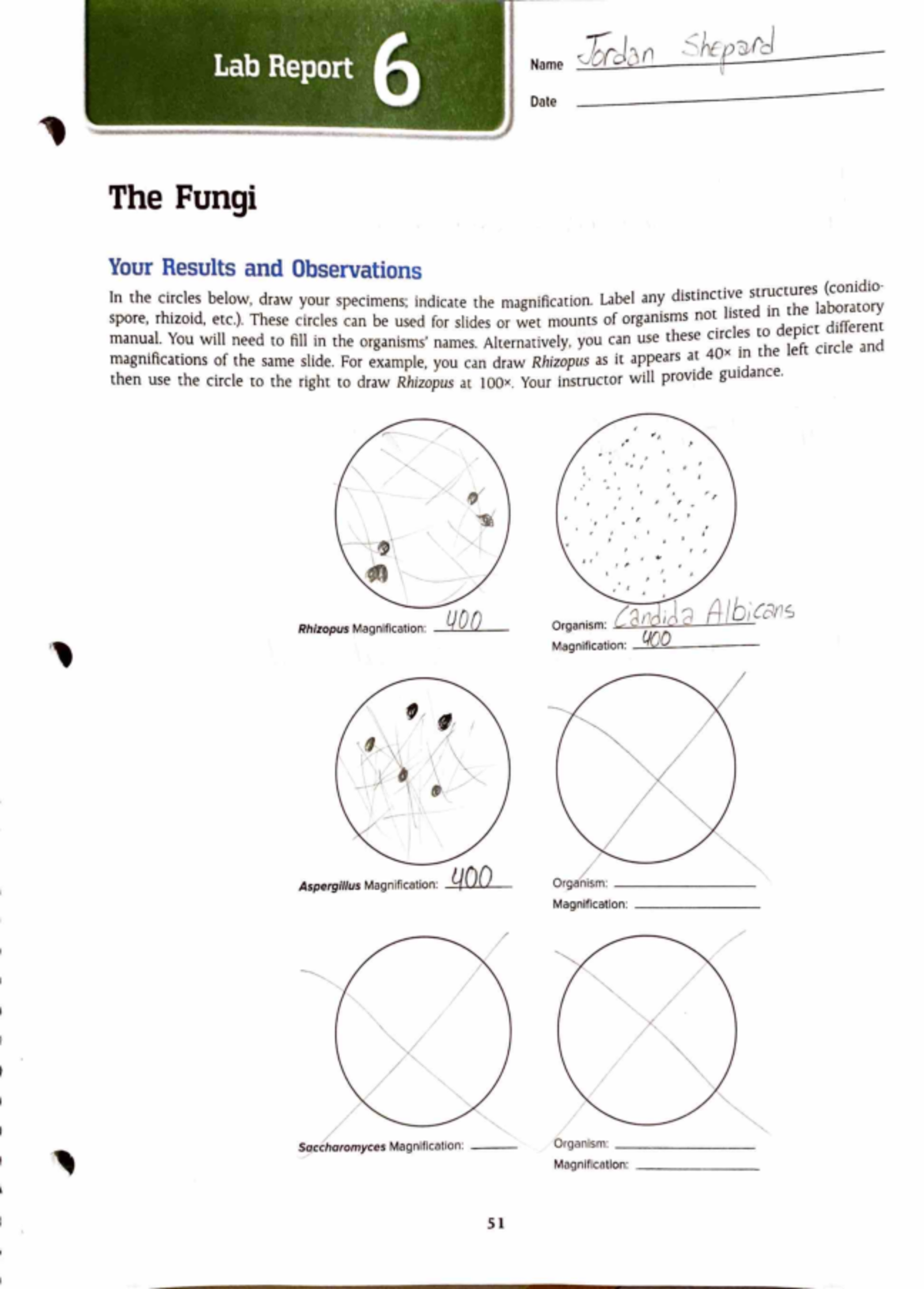 Jordan Shepard - Lab 6 - Lab - Lab Report 6 Name Date Jord on The Fungi ...