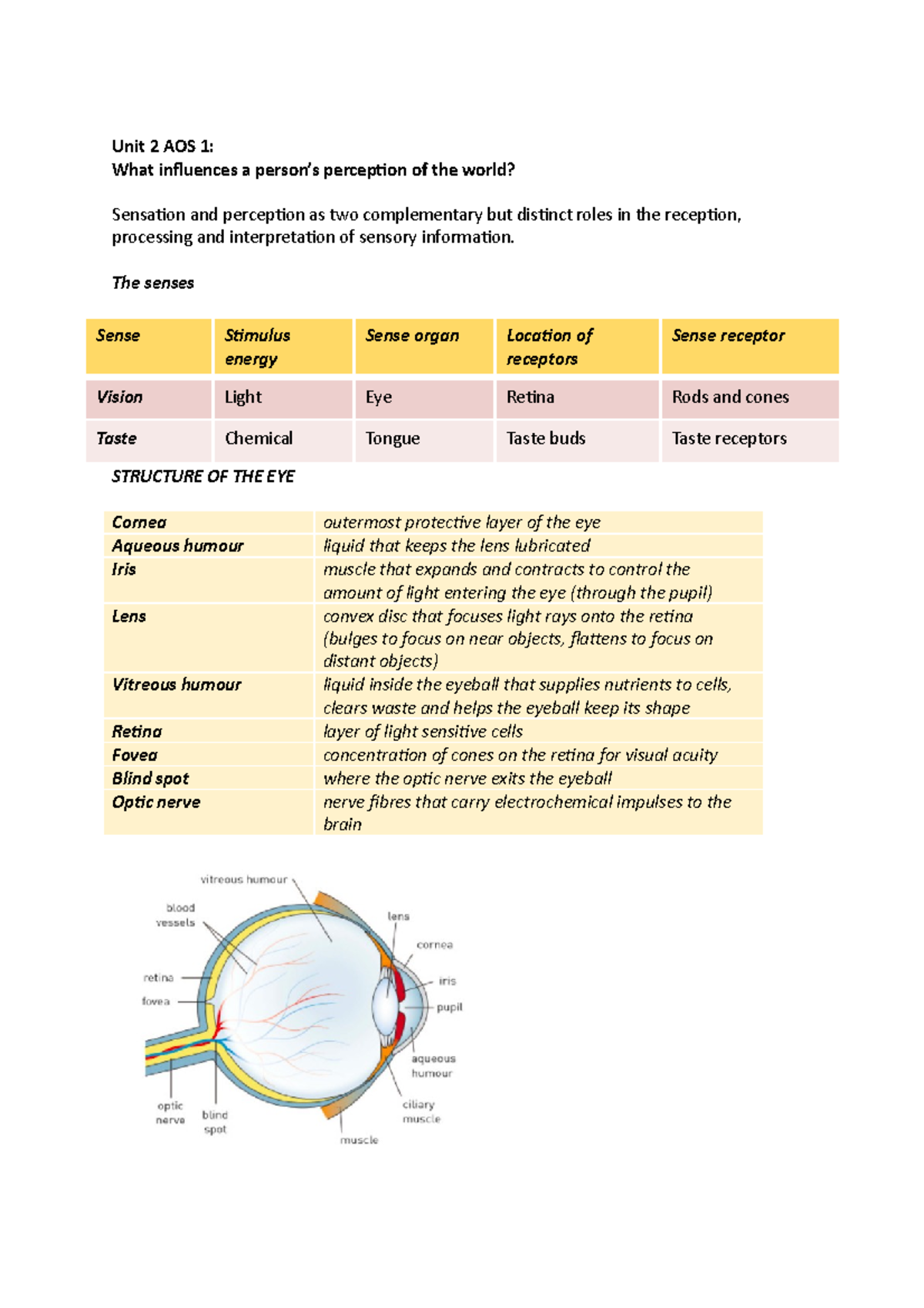 Unit 2 AOS 1- What influences a person’s perception of the world - Unit ...