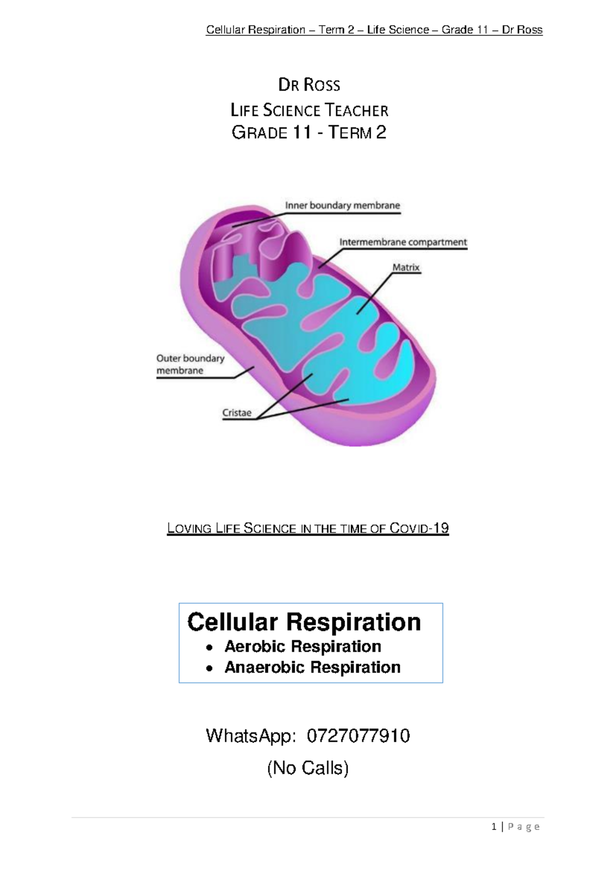 G11 - Cellular Respiration (Aerobic) - Dr Ross - LOVING LIFE SCIENCE IN ...