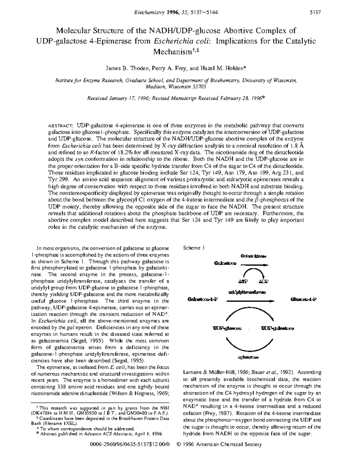 Biochem 96-E - 96 E - Molecular Structure of the NADH/UDP-glucose ...