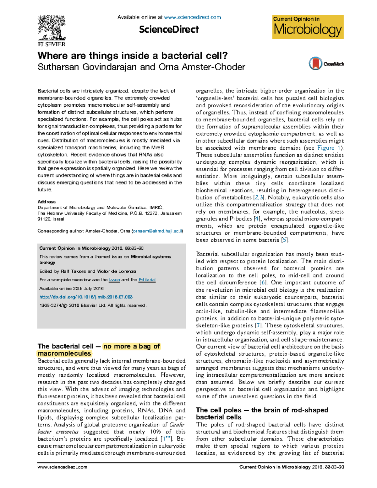 Inside a bacterial cell - Where are things inside a bacterial cell ...