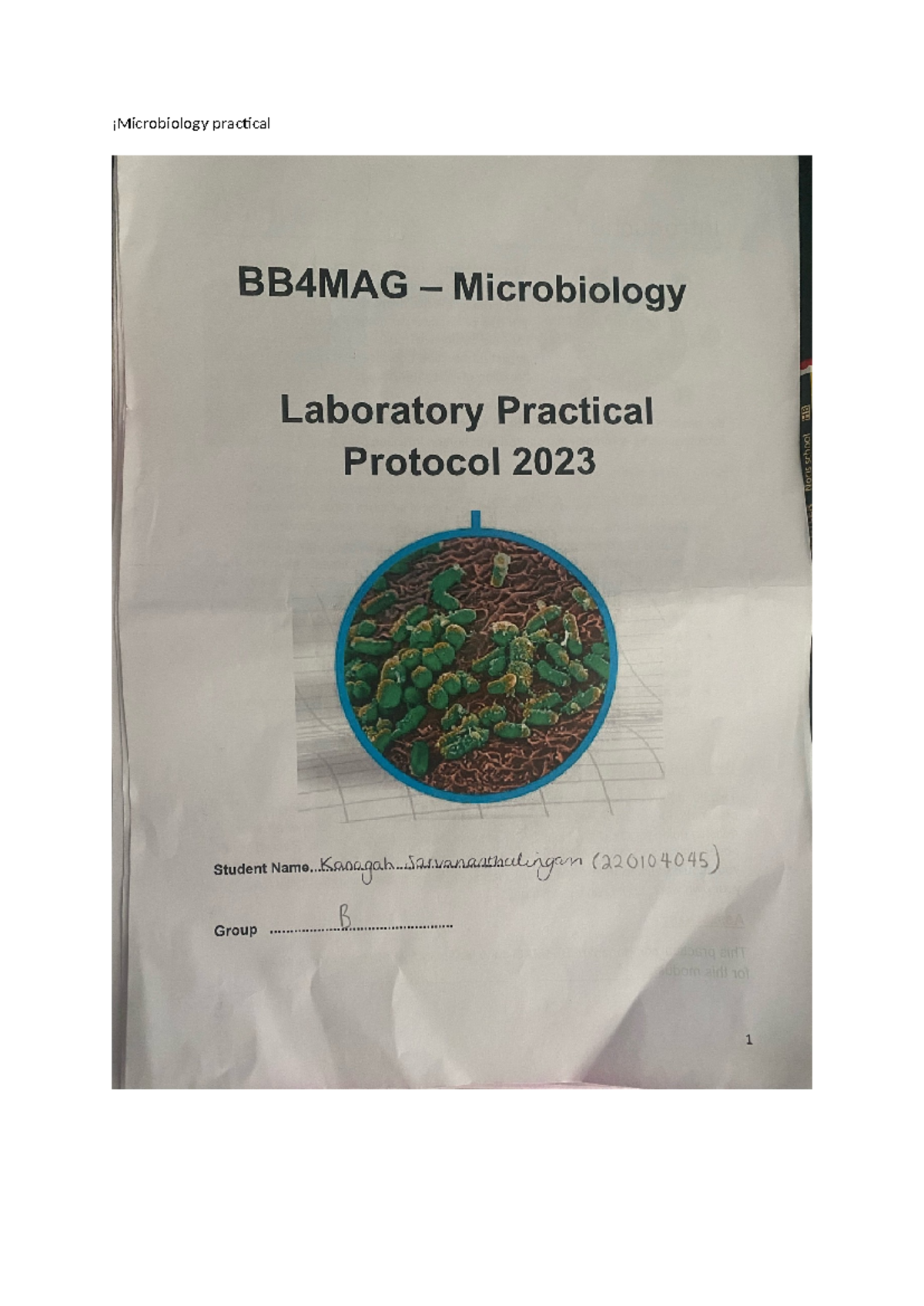 Microbiology practical photos - BY1MI1 - ¡Microbiology practical - Studocu