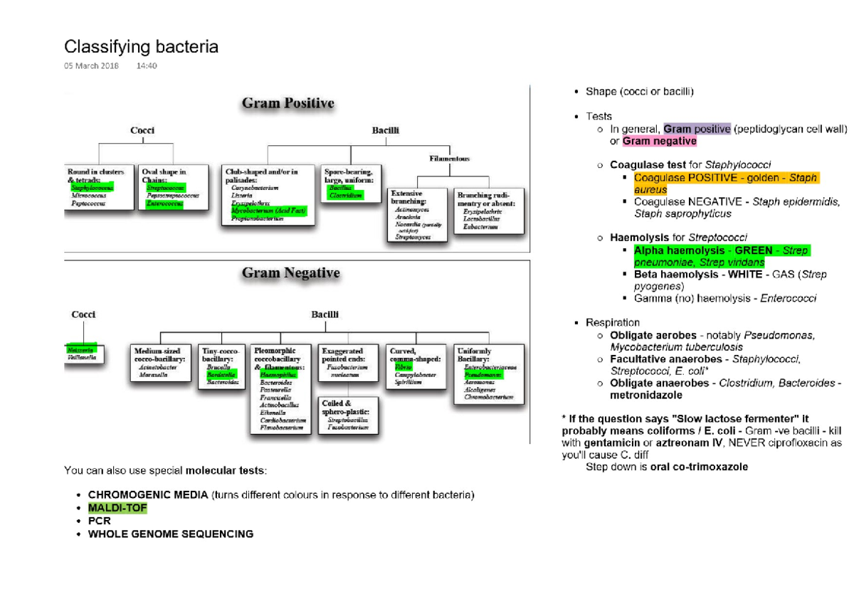 Classifying bacteria - Clasp Sepsis notes - Copy - A100 - Studocu