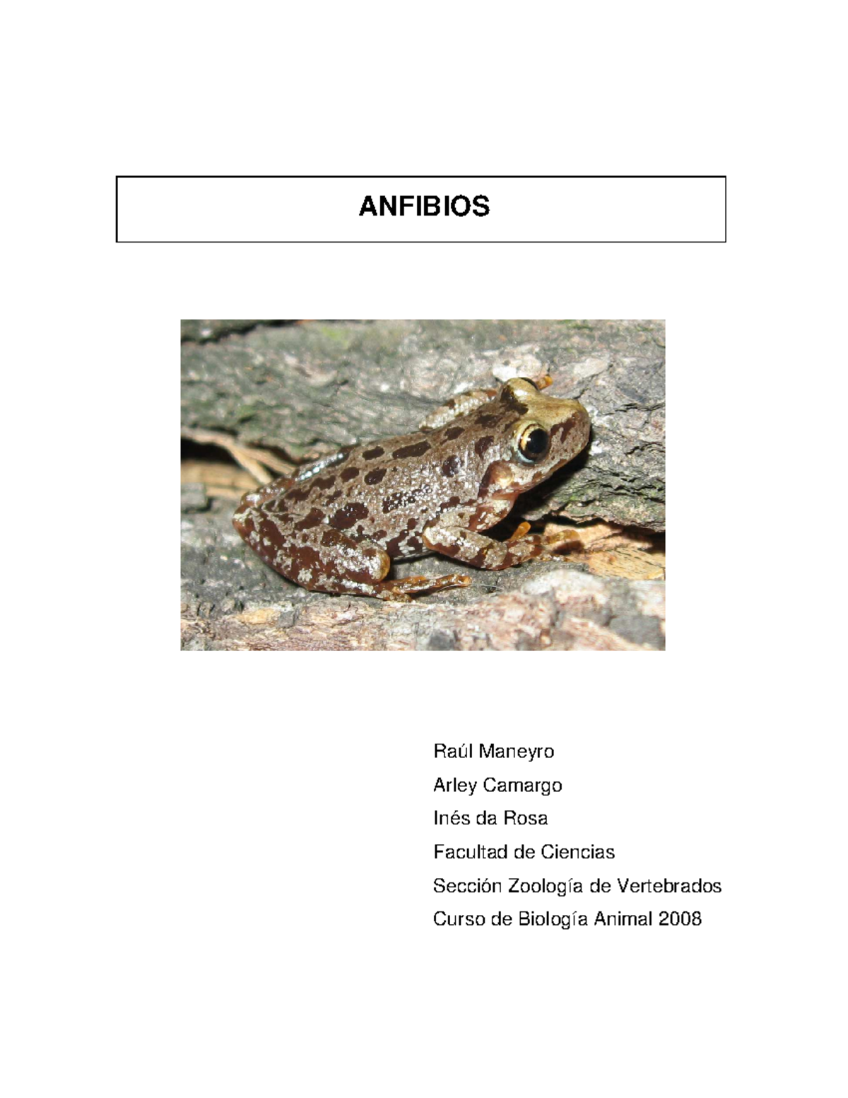 Morfología Interna Externa Anfibios - ANFIBIOS Raúl Maneyro Arley ...