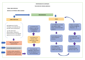 HISTORIA CLINICA - Catarsis intestinal: 2 veces en 24 horas. Diuresis ...
