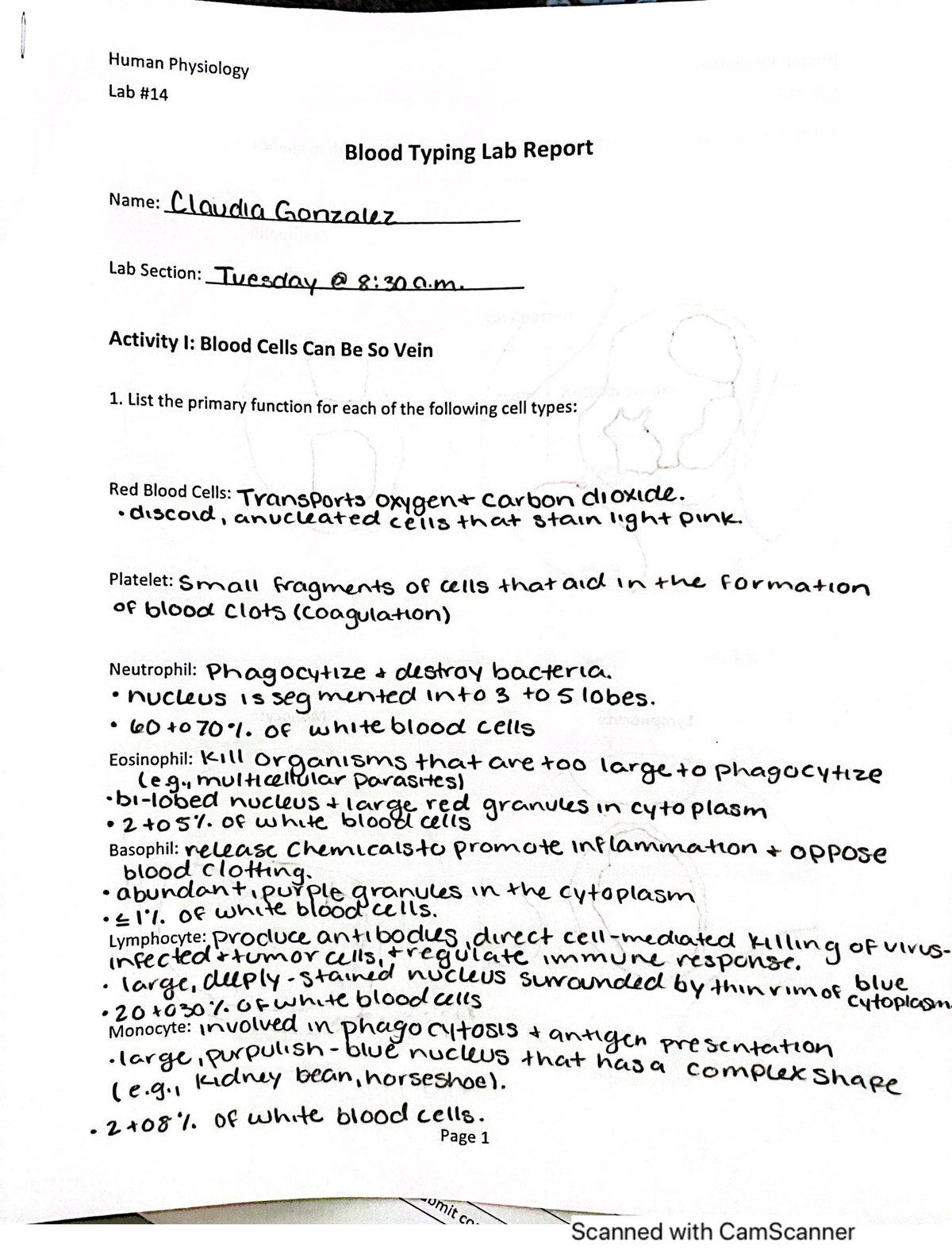 PHSO Laboratory 11 - PHSO V01 - Studocu