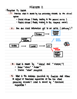 Npb 1 - lecture notes - Masking phenomena Rules of auditory masking ...