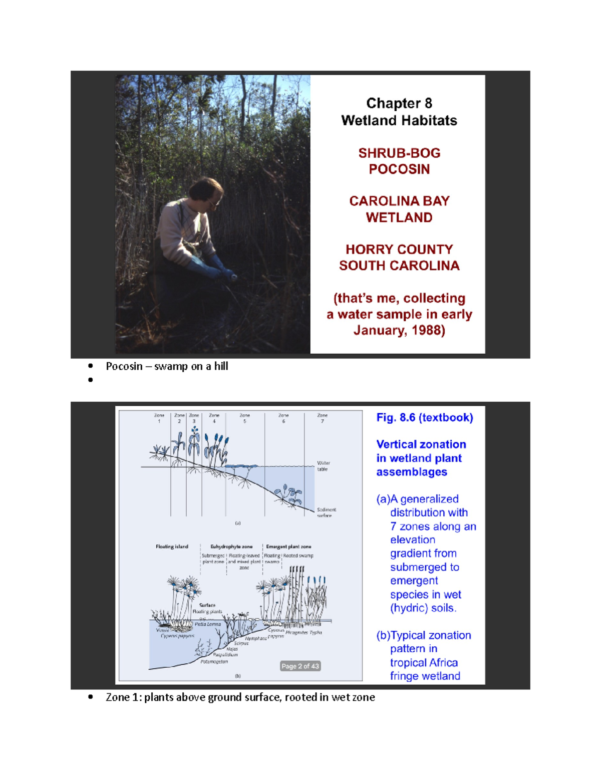 Lecture 25 Notes - Pocosin – swamp on a hill Zone 1: plants above ...