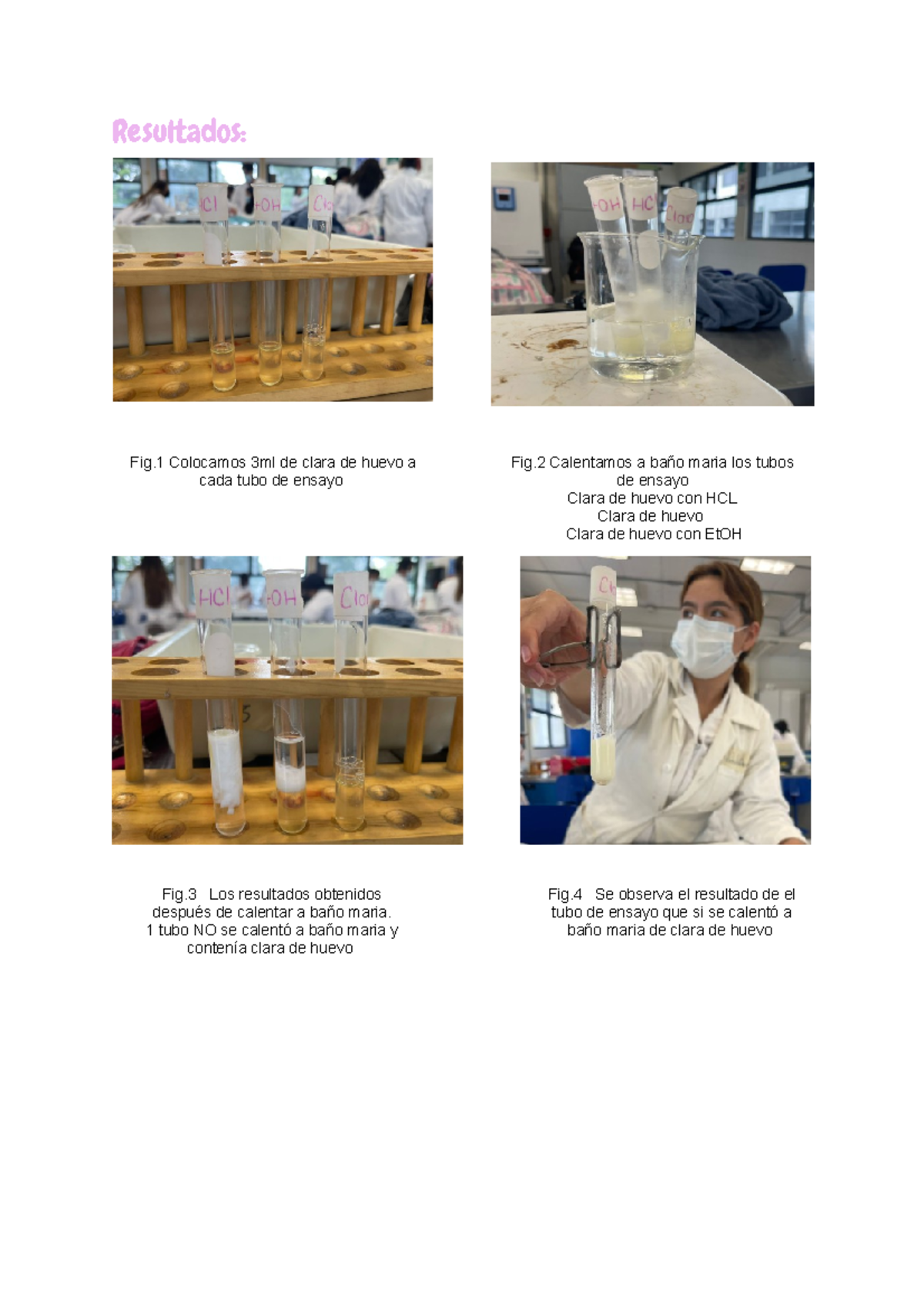 Bioquimica practica 5 imagenes - Resultados: Fig Colocamos 3ml de clara ...