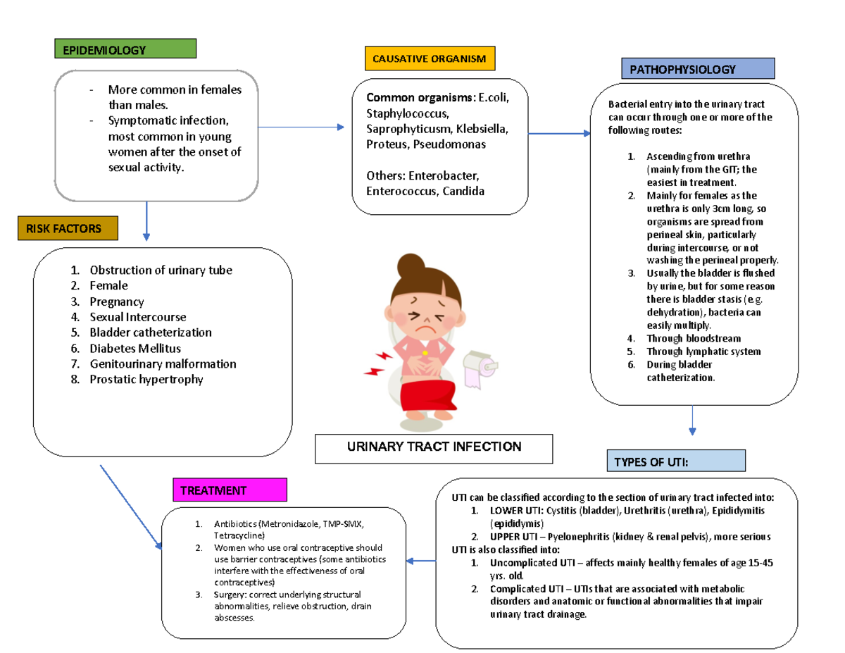 UTI- Concept-MAP - More common in females than males. - Symptomatic ...