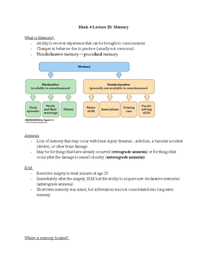 Neuroscience Block 1 Study Guide - Neuroscience Block 1 Study Guide ...