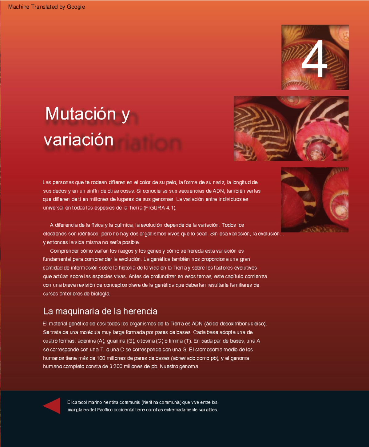 Futuyma - Evolution Cap 4 - y entonces la vida misma no sería posible ...