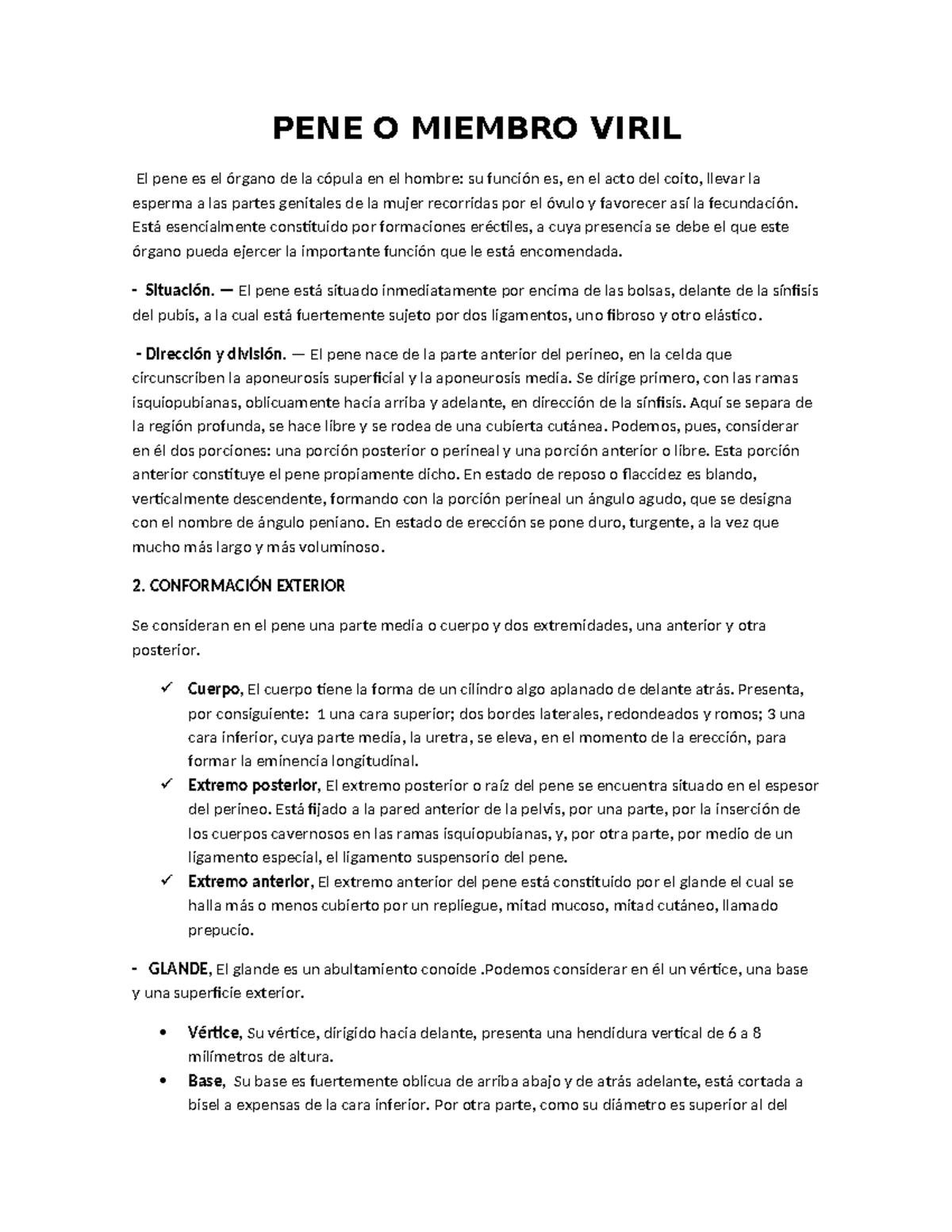 Miembro Viril - anatomia - PENE O MIEMBRO VIRIL El pene es el órgano de ...