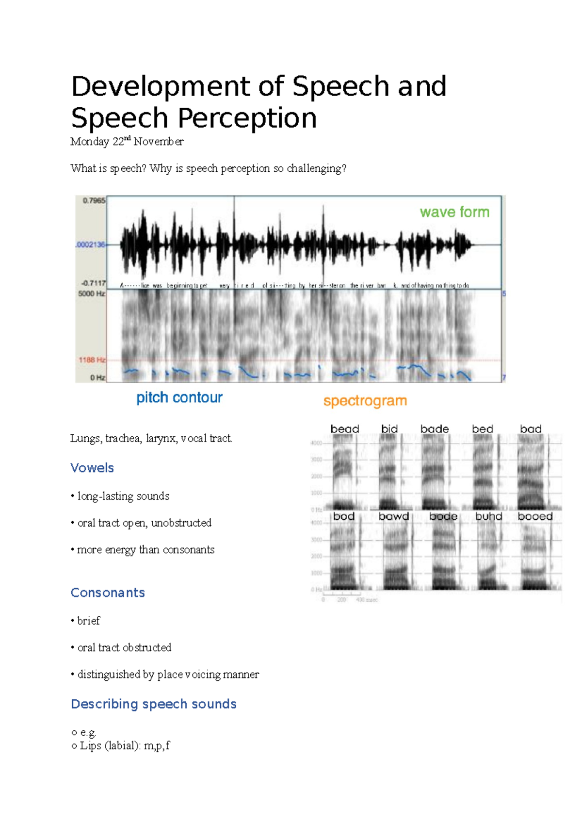 Development of Speech and Speech Perception - Studocu