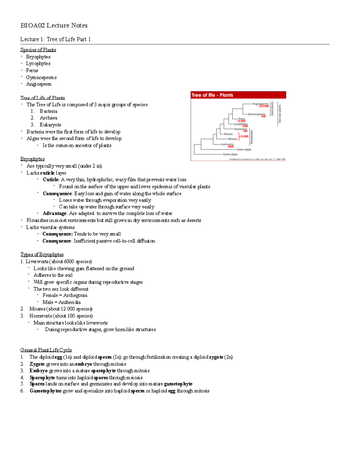 Module 1: Plant Form and Function - BIOA02 Lecture Notes Lecture 1 ...