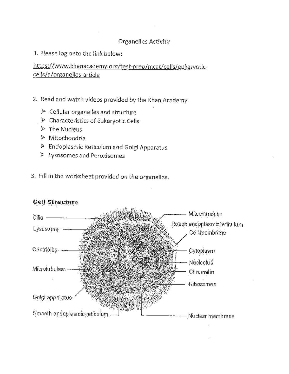 Cell Organelle Handout Answered - Studocu