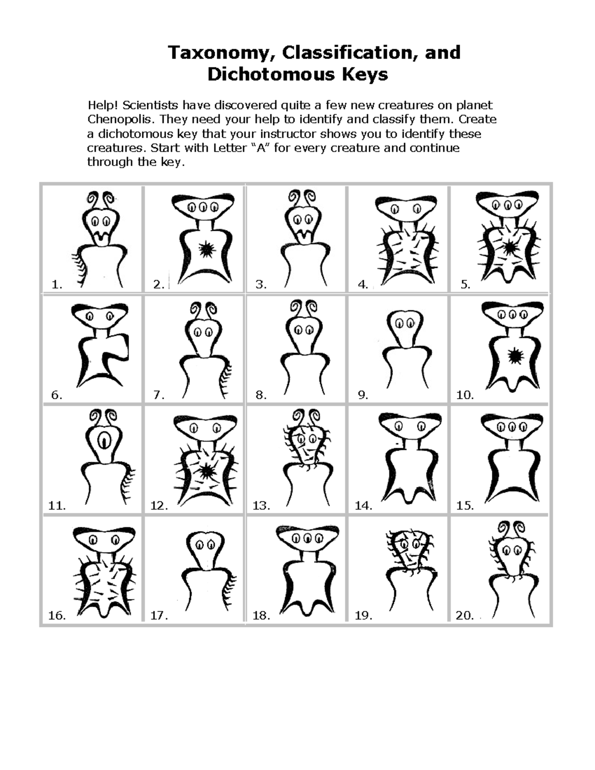 Dichotomous Key Assignment - Taxonomy, Classification, and Dichotomous ...