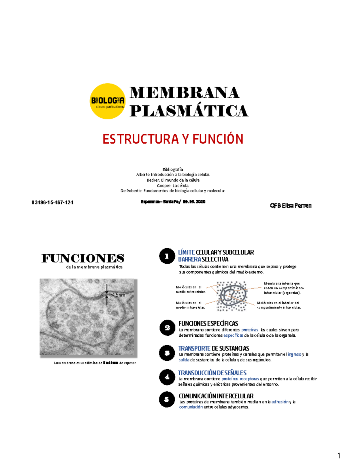 1 - Membrana plasmática Estructura y Función Fondo Blanco - MEMBRANA PLASM¡TICA ####### QFB ...