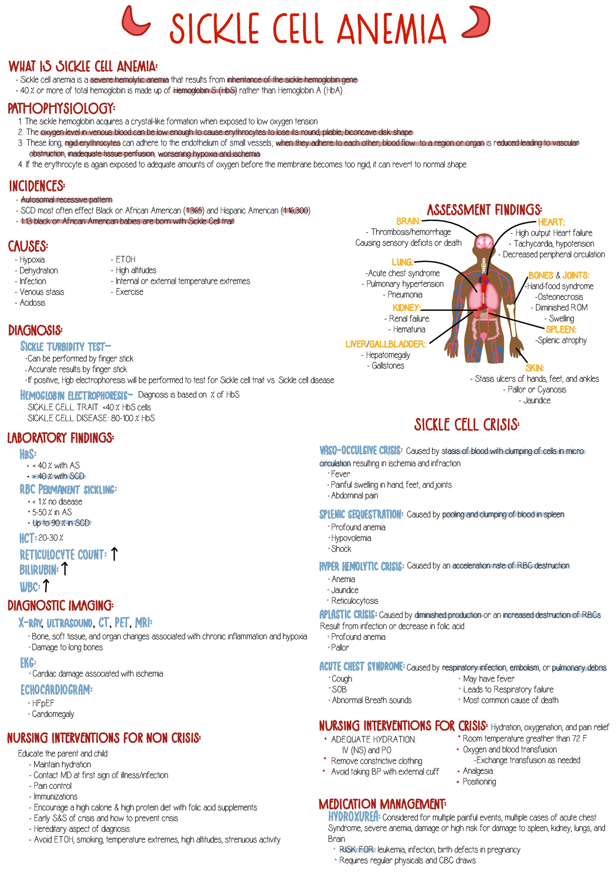 Sickle Cell - notes - Sickle cell anemia What Is sickle cell anemia ...