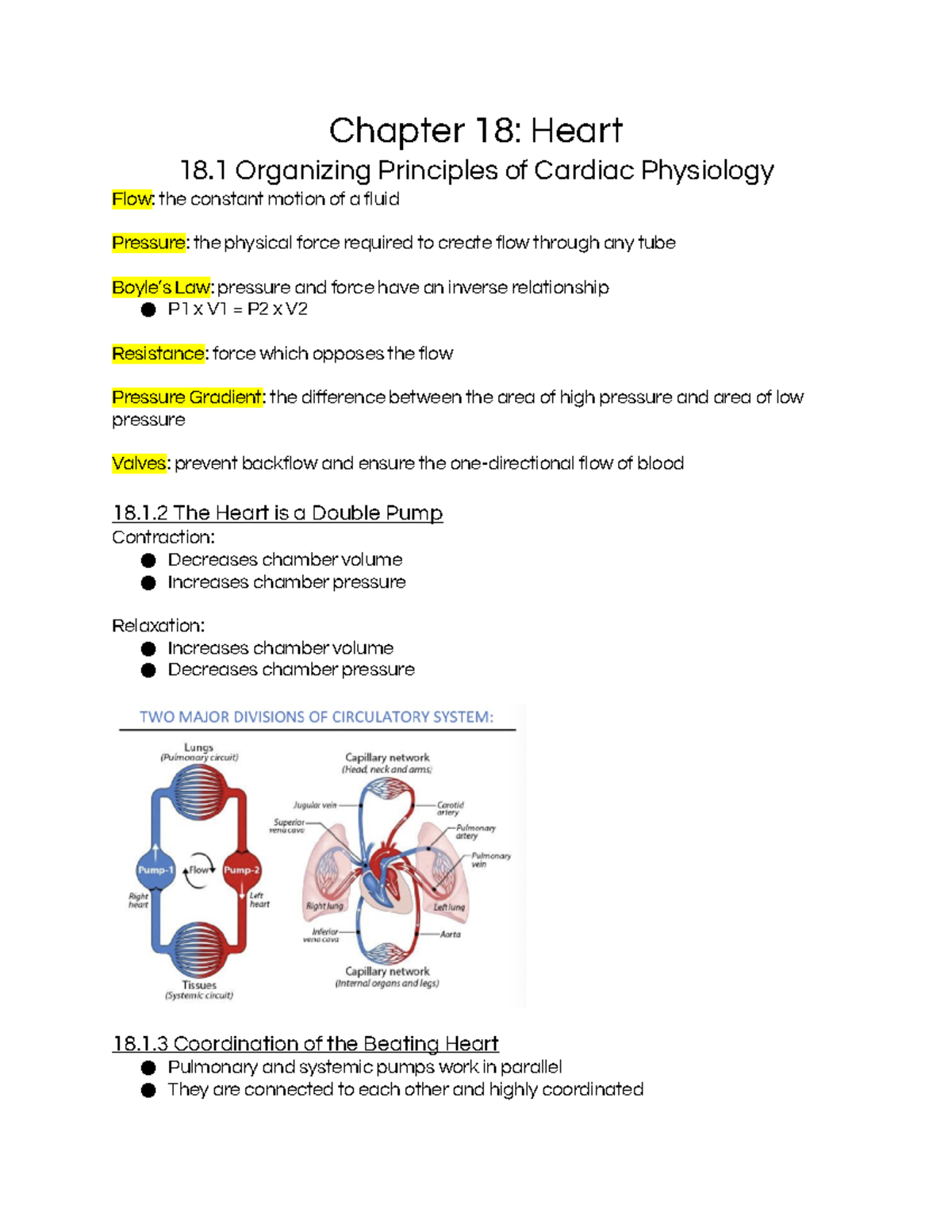 Chapter 18 Lecture Notes - Chapter 18: Heart 18 Organizing Principles ...