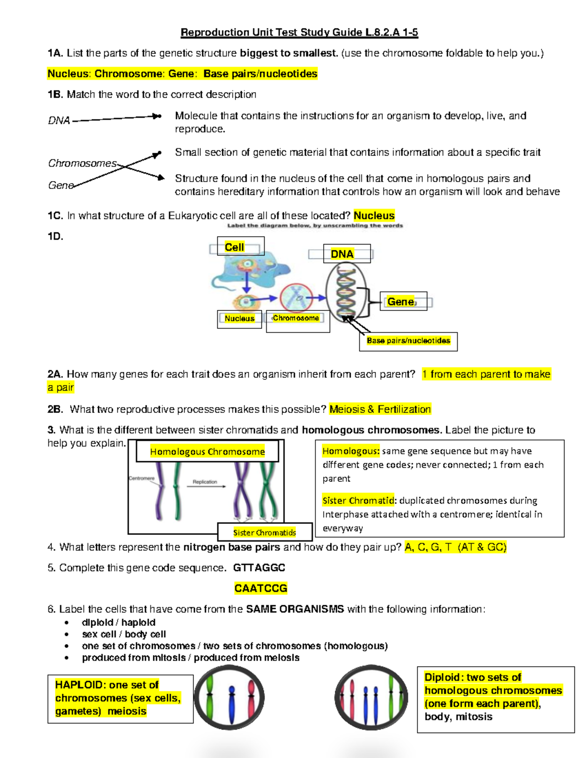Unit Test Study Guide answers L.8 - Reproduction Unit Test Study Guide ...