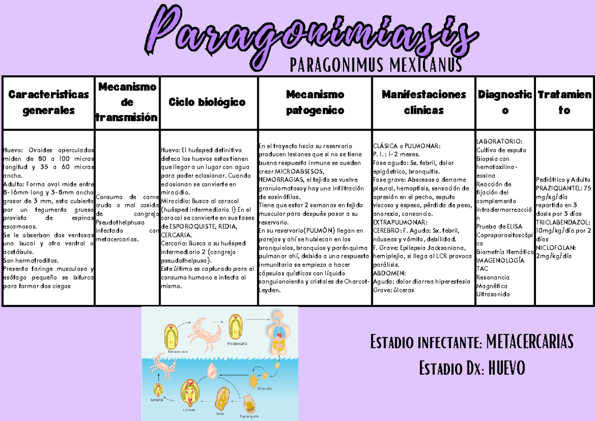 Paragonimiasis - Parasitología médica (4a. ed.) - Caracteristicas ...
