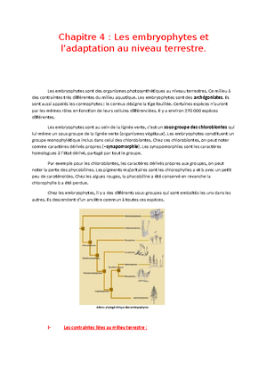 Chapitre 3 Les mycètes - CHAPITRE 3 Les mycètes, des thallophytes bien ...