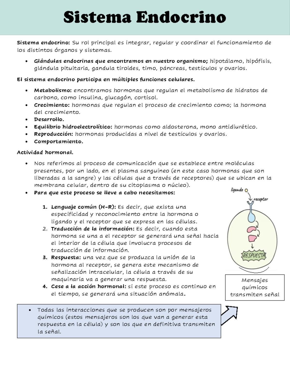Clase N°7 Sistema Endocrino - Sistema endocrino: Su rol principal es ...