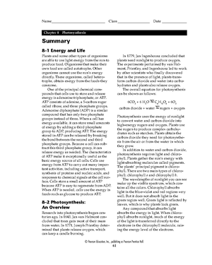 We the people note guide - We the People Note Guide This notetaking ...