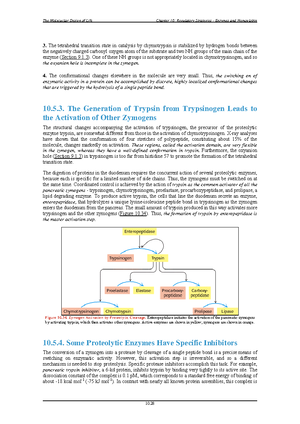 Chapter 1 TVET Module Activity 1 - Lesson 1- Activity 1 Instruction ...