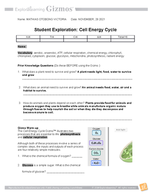 BIO 101 - The cell and its environment - THE CELL AND ITS ENVIRONMENT ...