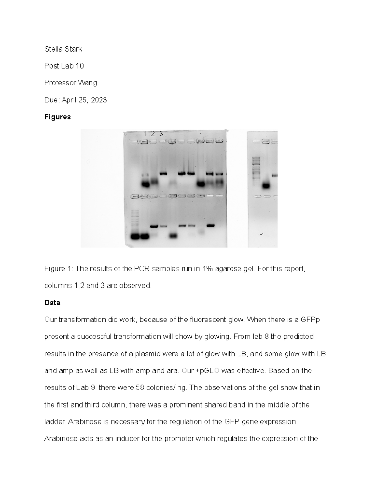 Bio post lab 10 - Stella Stark Post Lab 10 Professor Wang Due: April 25, 2023 Figures 1 2 3 ...