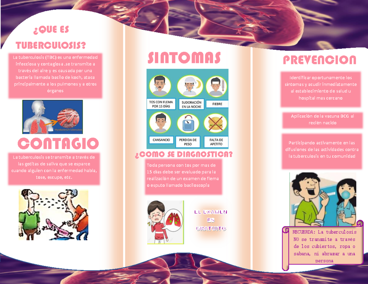 Triptico de tuberculosis 2 - La tuberculosis (TBC) es una enfermedad ...