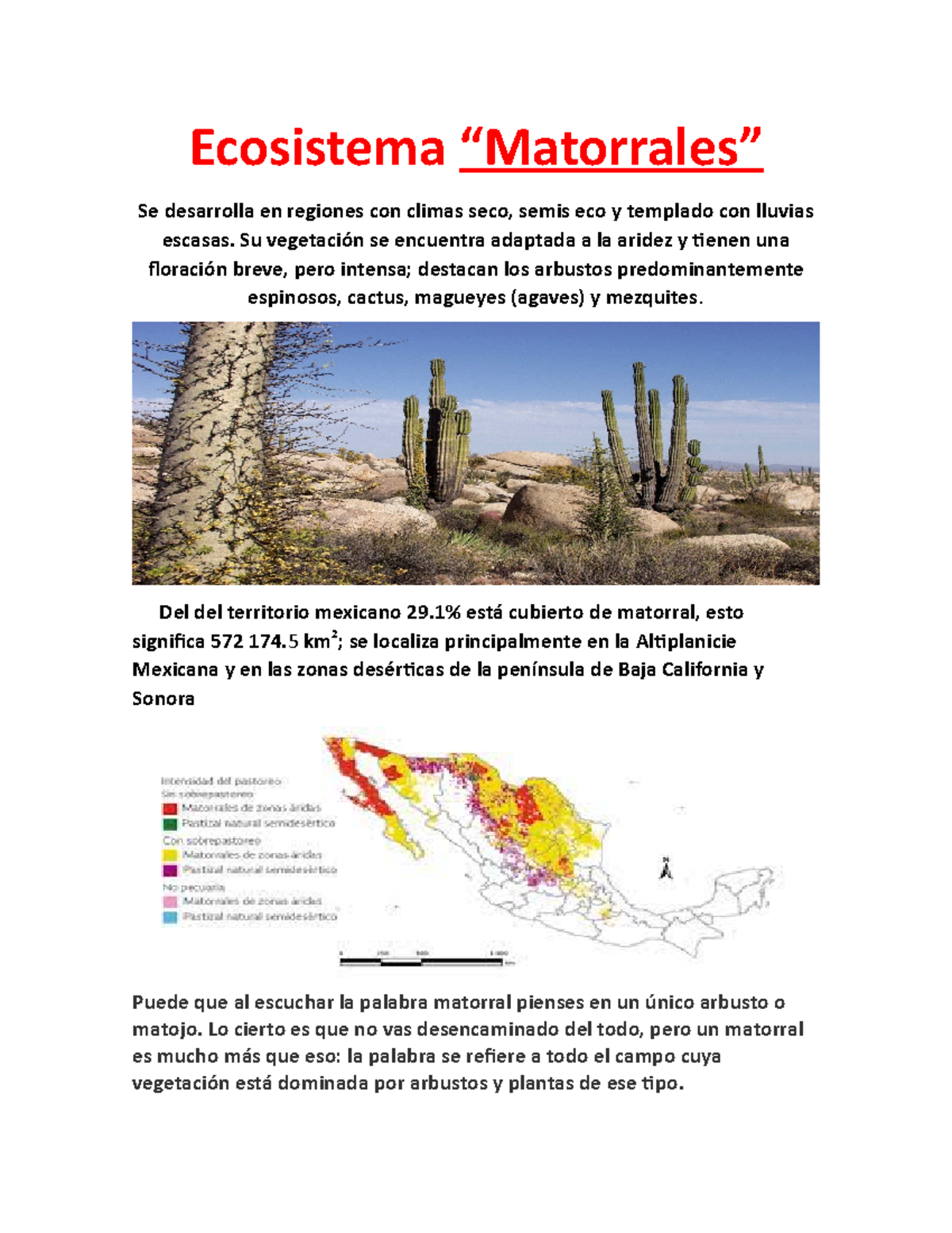 Reporte Ecosistema #7 - Es una actividad que retroalimenta las neuronas ...
