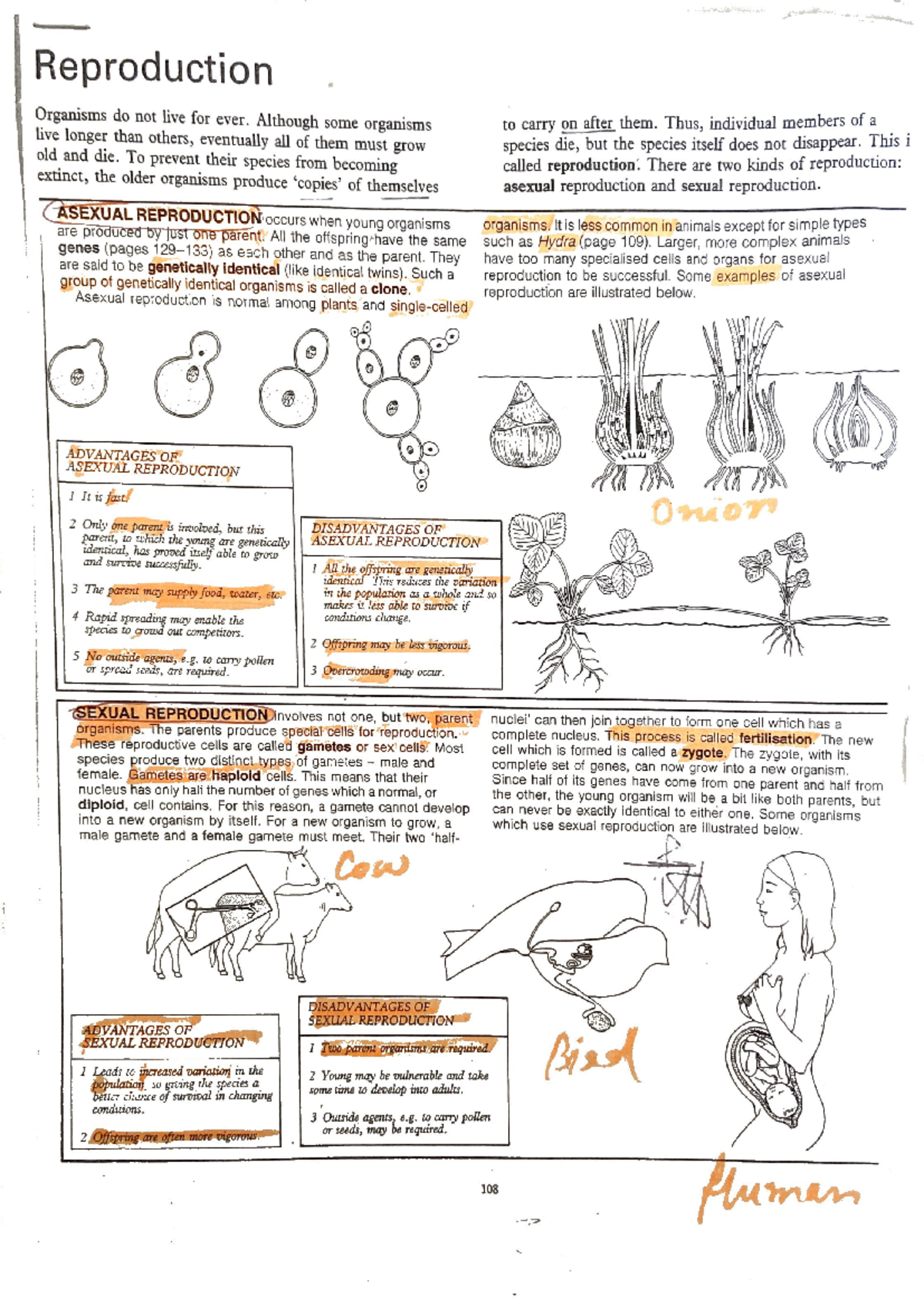 Reproduction - BIOL - Studocu