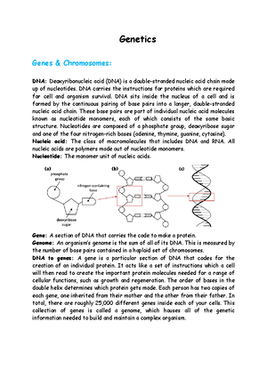 VCE Scientific Posters Guide - A ridiculously detailed guide on ...