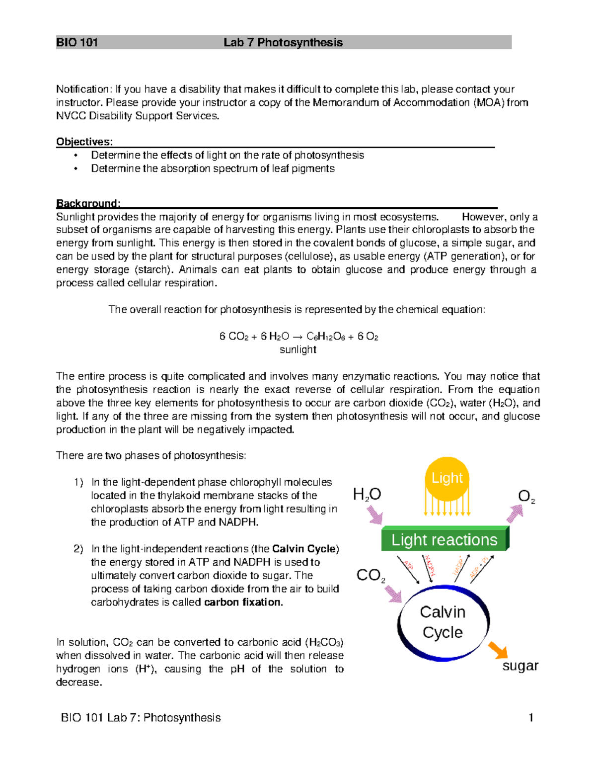 BIO 101 Lab 7 - Photosynthesis 2023 - Notification: If you have a ...