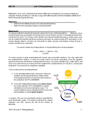 BIO 101 Lab 8 - Mitosis and Meiosis-2023 - Notification: If you have a disability that makes it ...