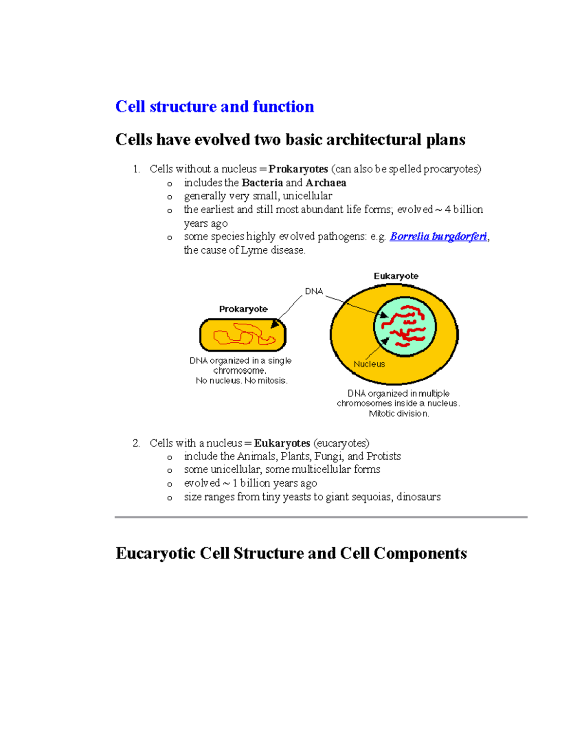 Cell structure and function - Cell structure and function Cells have ...