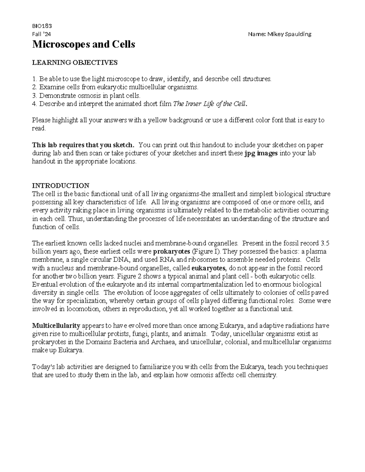 Handout Microscopes and cells Fall24 - BIO Fall ’24 Name: Mikey ...
