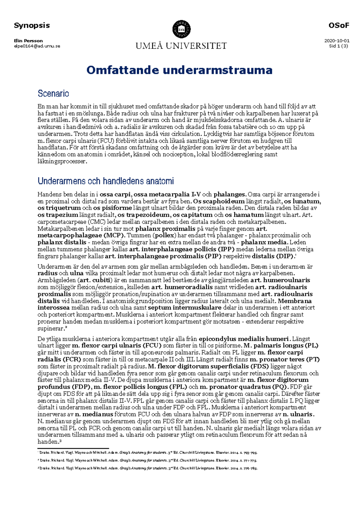 Persson Elin Omfattande underarmstrauma - Synopsis Elin Persson ...