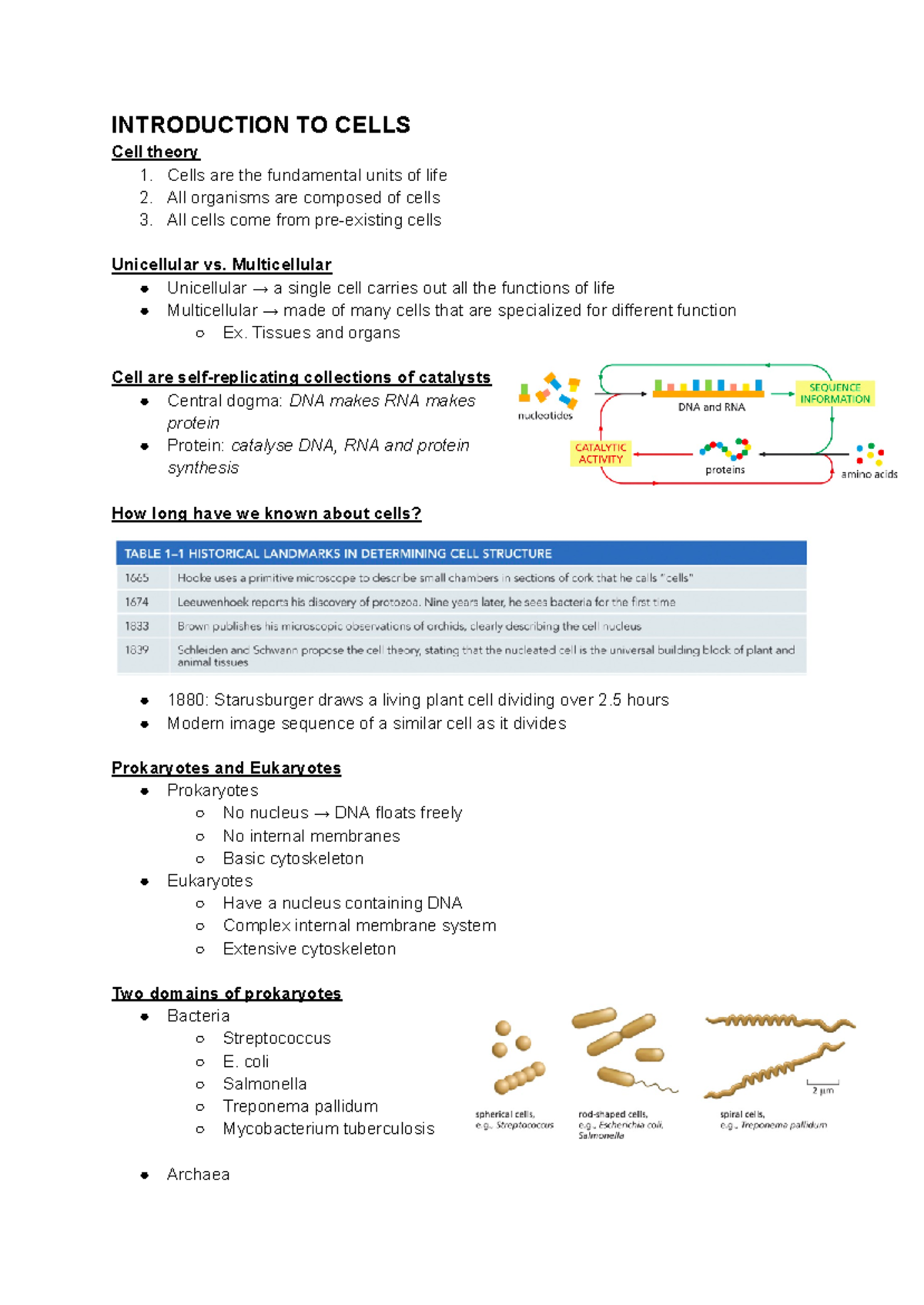 From Molecules to Cells Notes - INTRODUCTION TO CELLS Cell theory 1 ...