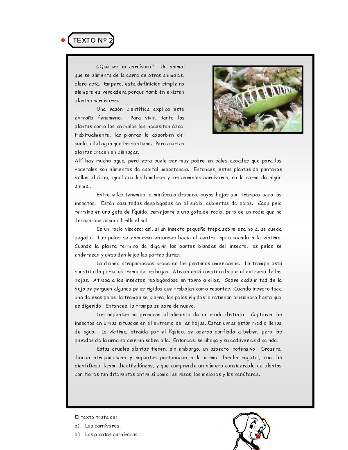 Práctica EL TEMA Y SUB Temas - TEXTO Nº 2 ¿Qué es un carnívoro? Un ...