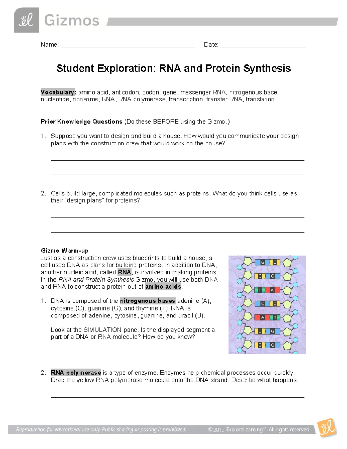 Annotated-RNAProtein Synthesis SE - Name: Date: Student Exploration ...