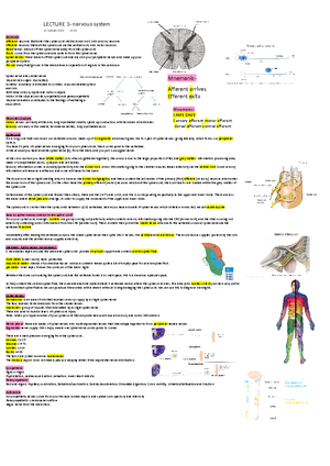 Week 1 - Anatomy Basics - Anatomy- branch of science of bodily ...