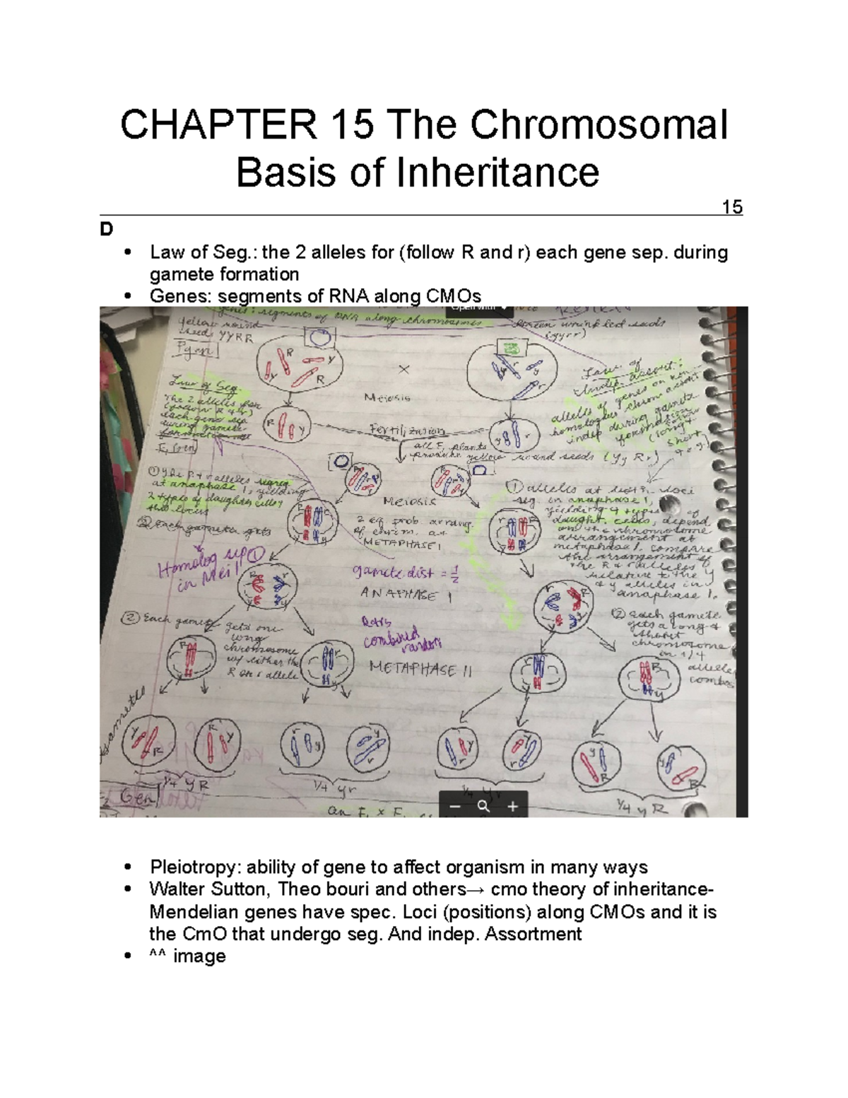 Chapter 15 bio notes - CHAPTER 15 The Chromosomal Basis of Inheritance ...