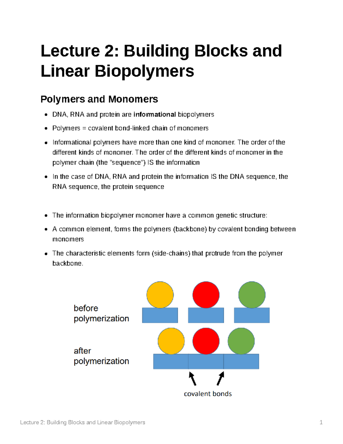 Lecture 2 Building Blocks and Linear Biopolymers - Lecture 2: Building Blocks and Linear ...