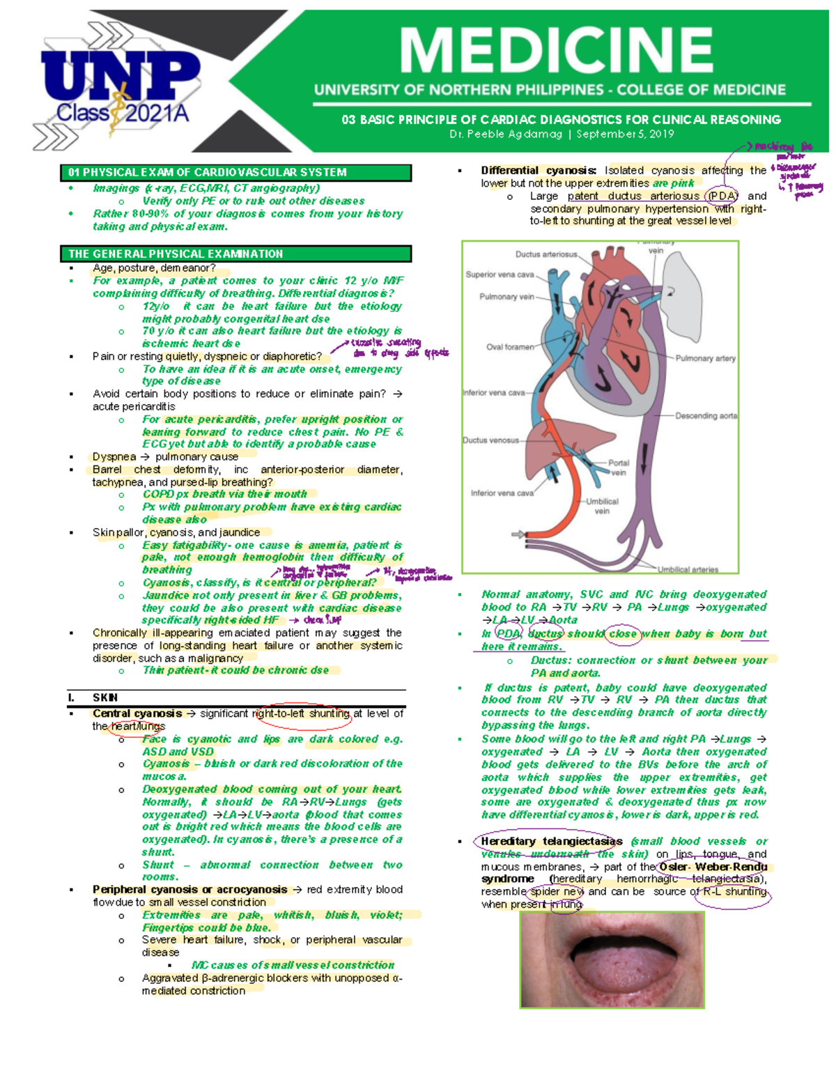 03 Cardiac Diagnostics - ####### 03 BASIC PRINCIPLE OF CARDIAC ...